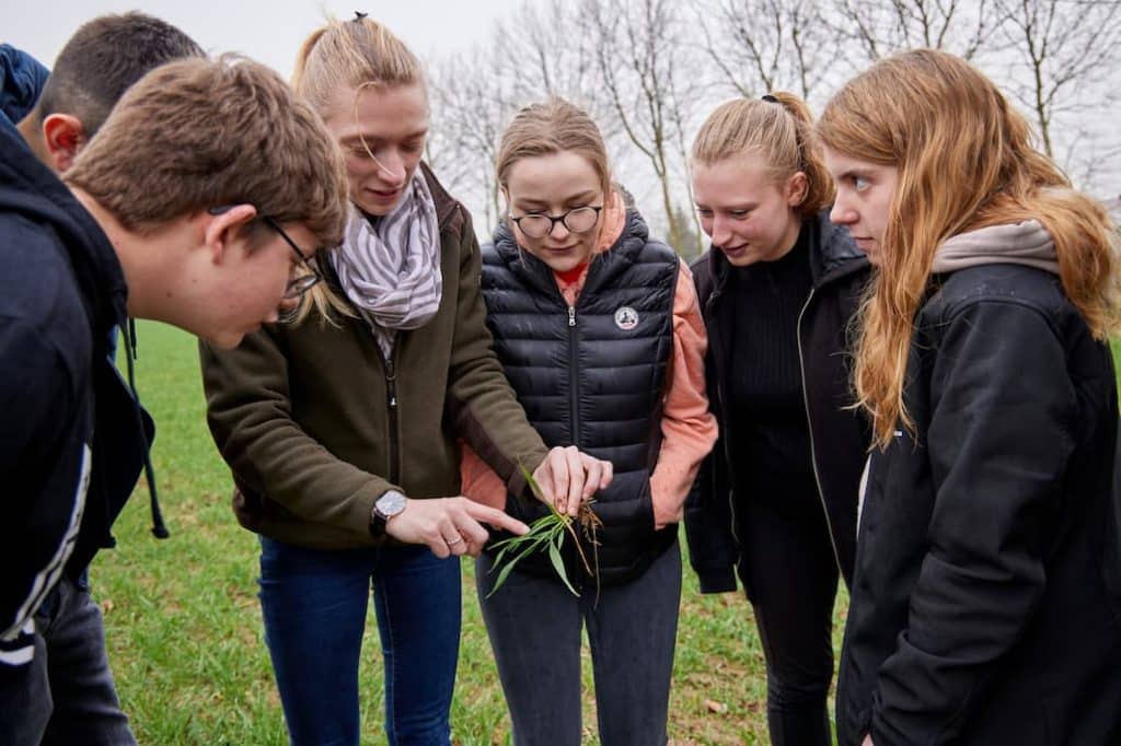 MFR MARCONNE - MFR Hauts-de-France